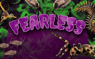 Curriculum | KidMin Corinne